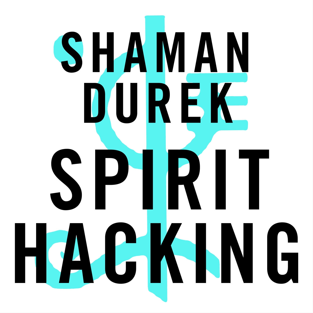 Spirit Hacking by Shaman Durek | Hachette UK